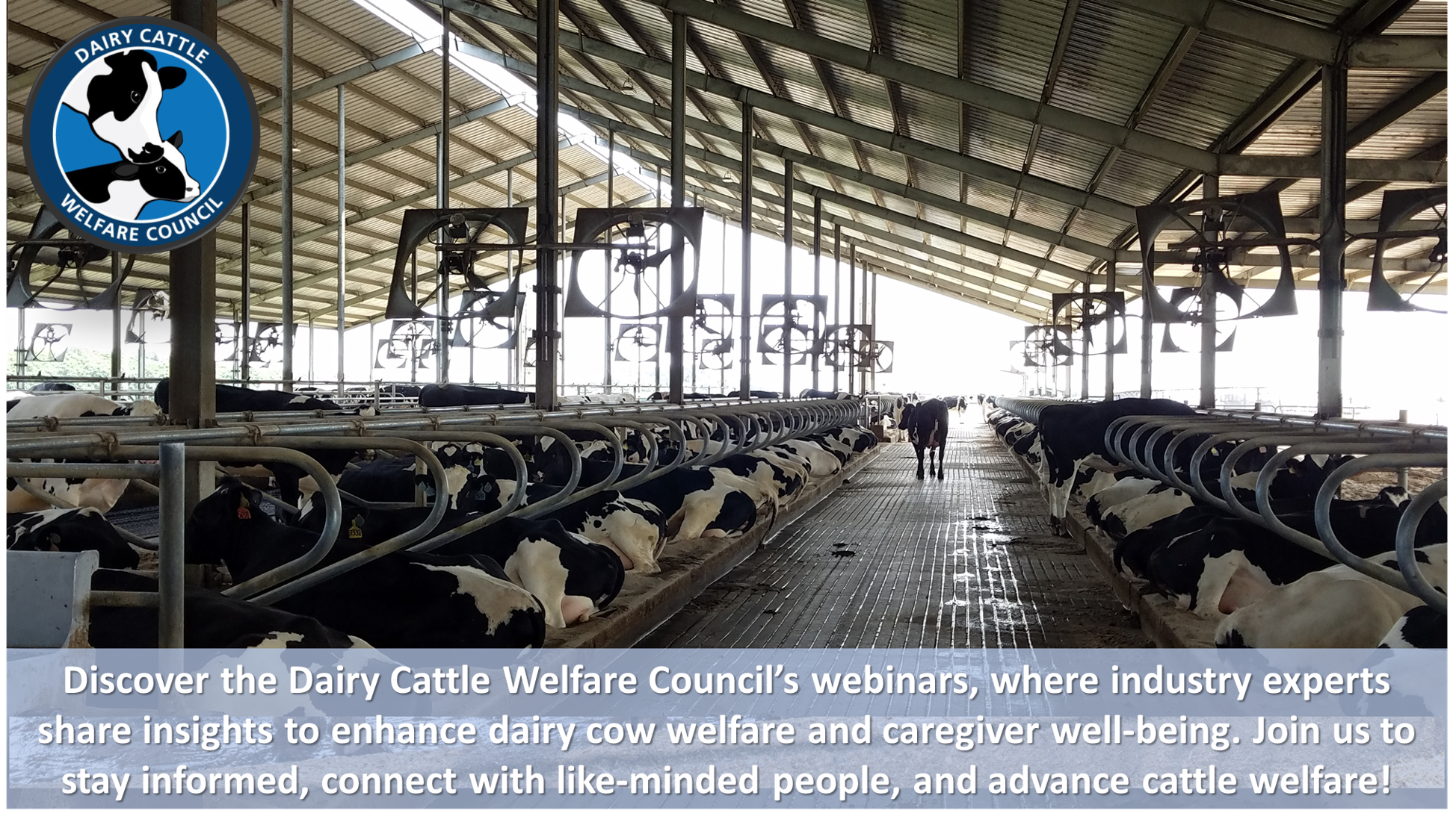 Dairy Cattle Welfare Council - Webinars